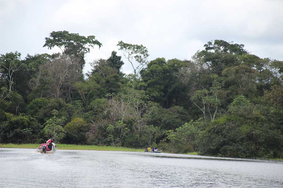 Macaw Package – 3 days and 2 nights | Amazon Forest Tours